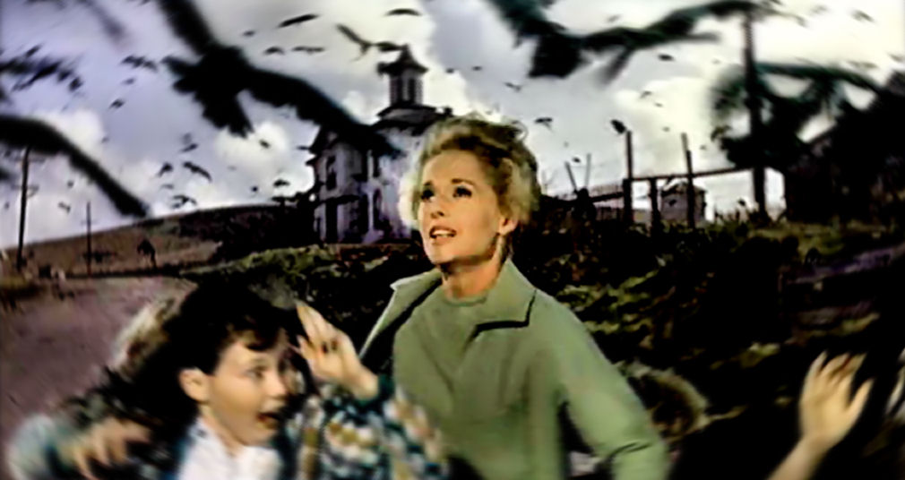 The Birds (1963). Polly wants more than a cracker in this classic film ...